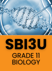 SBI3U, Grade 11 Biology - School Conex